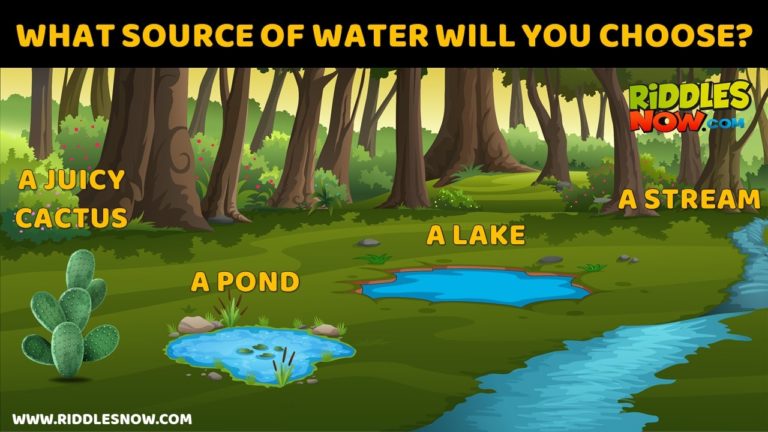 12 Escape Room Riddles to Check Your Survival Skills